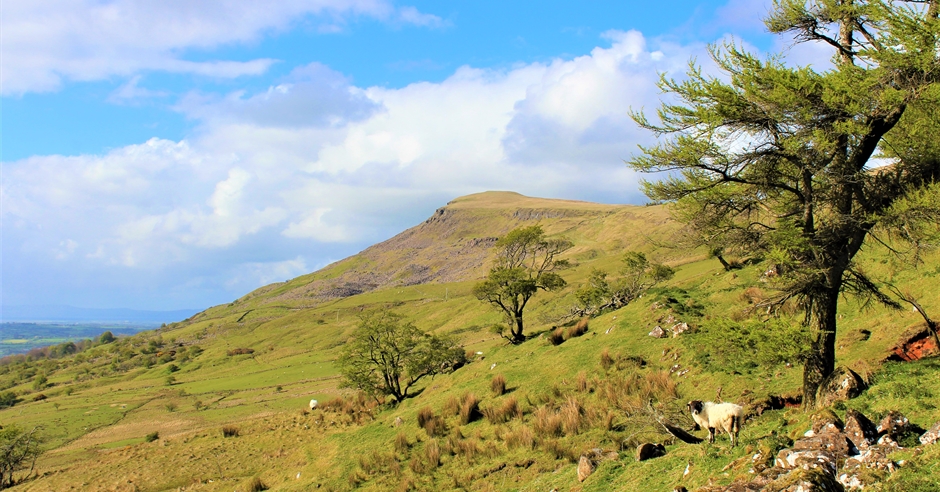 Ulster Way - Dungiven - Causeway Coast & Glens