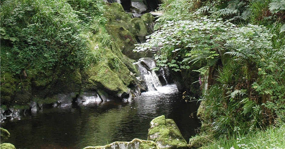 Banagher Glen - Feeny - Causeway Coast & Glens