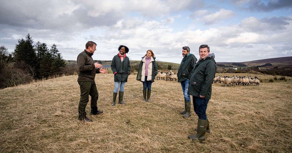 Dunfin Farm Sheep Experience - Ballycastle - Causeway Coast & Glens