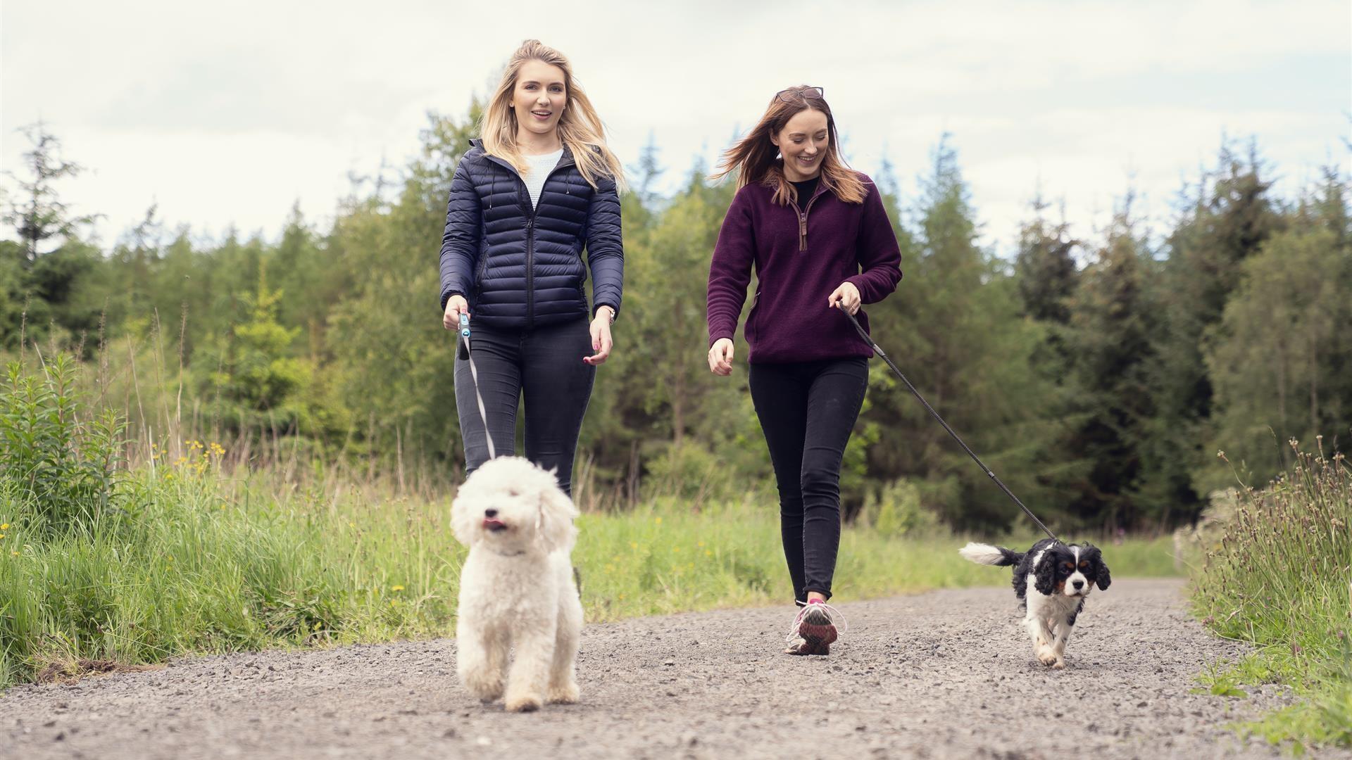 Garvagh Forest Trails - Garvagh - Causeway Coast & Glens