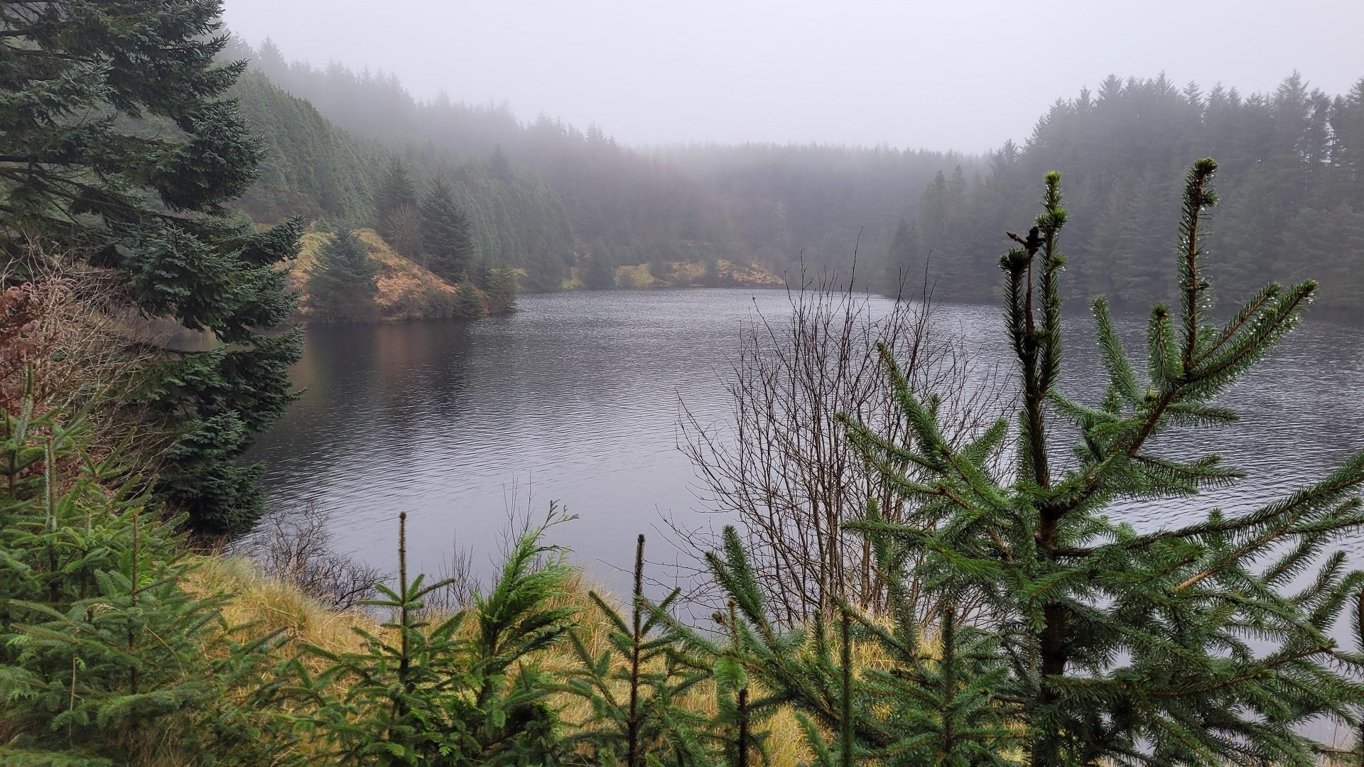 Banagher Glen - Feeny - Causeway Coast & Glens