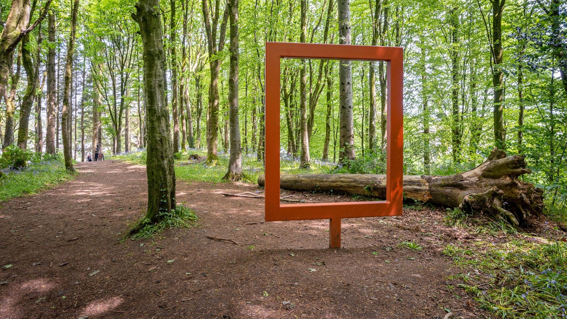 Picture This: Garvagh Forest - Garvagh - Causeway Coast & Glens