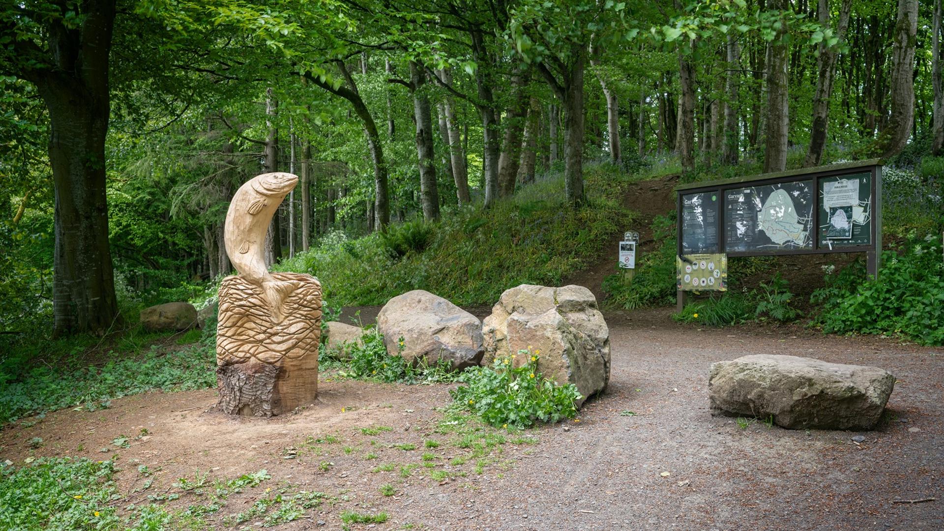 Picture This: Garvagh Forest - Garvagh - Causeway Coast & Glens