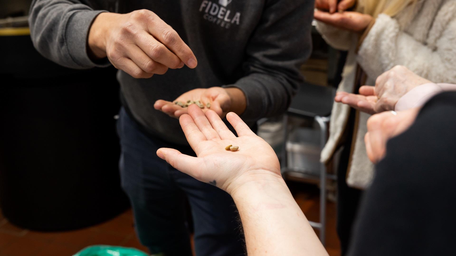 The Journey of the Coffee Bean with Fidela Coffee Roasters - Coleraine ...