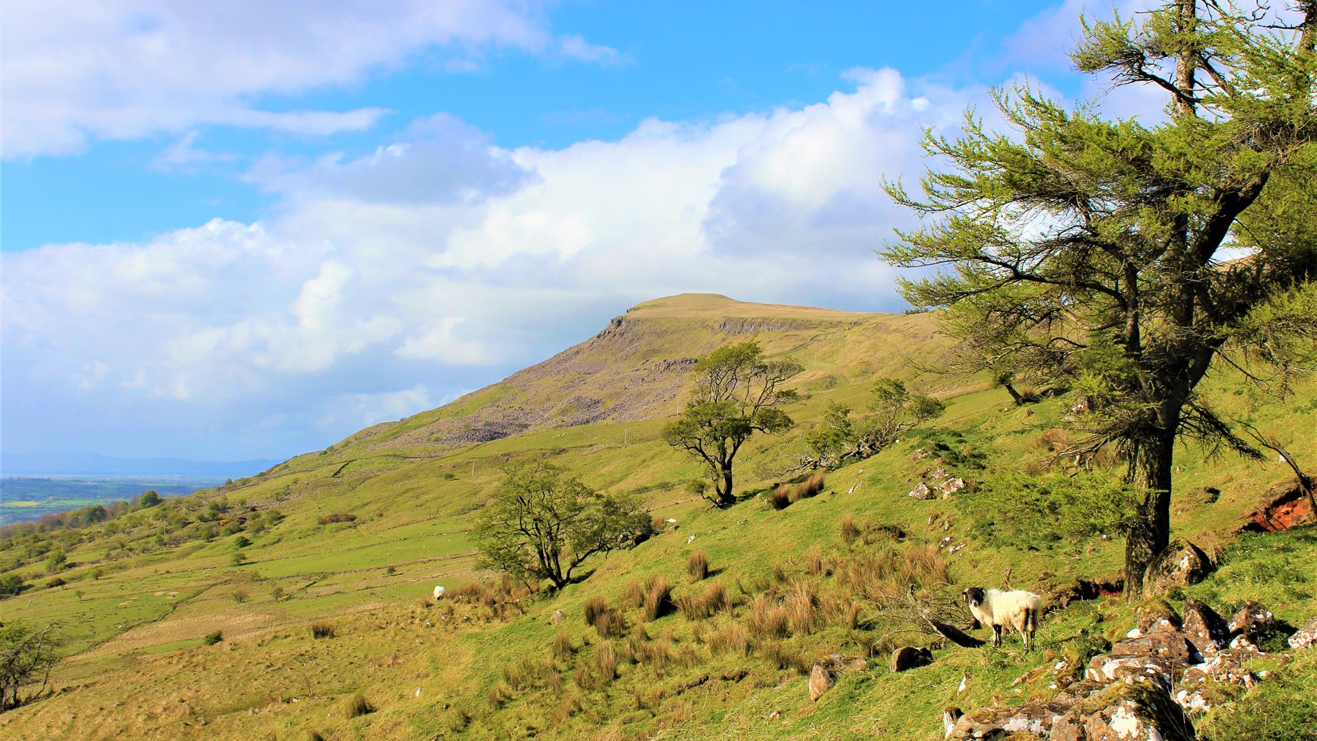 Ulster Way - Dungiven - Causeway Coast & Glens