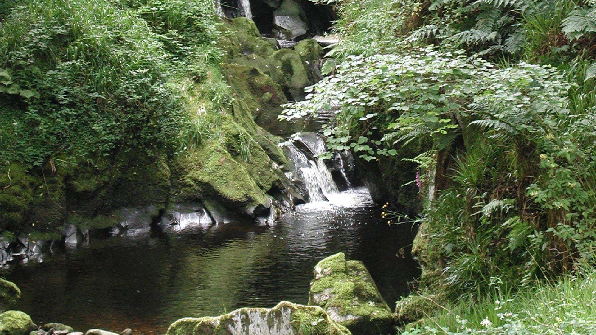 Banagher Glen - Feeny - Causeway Coast & Glens