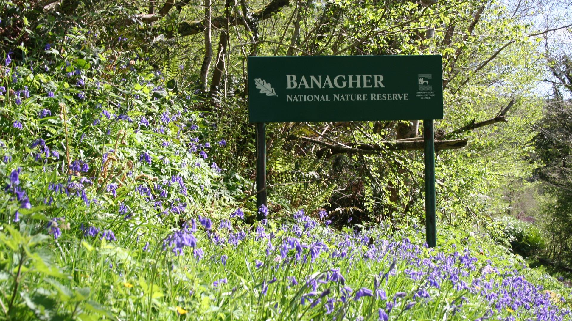 Banagher Glen - Feeny - Causeway Coast & Glens