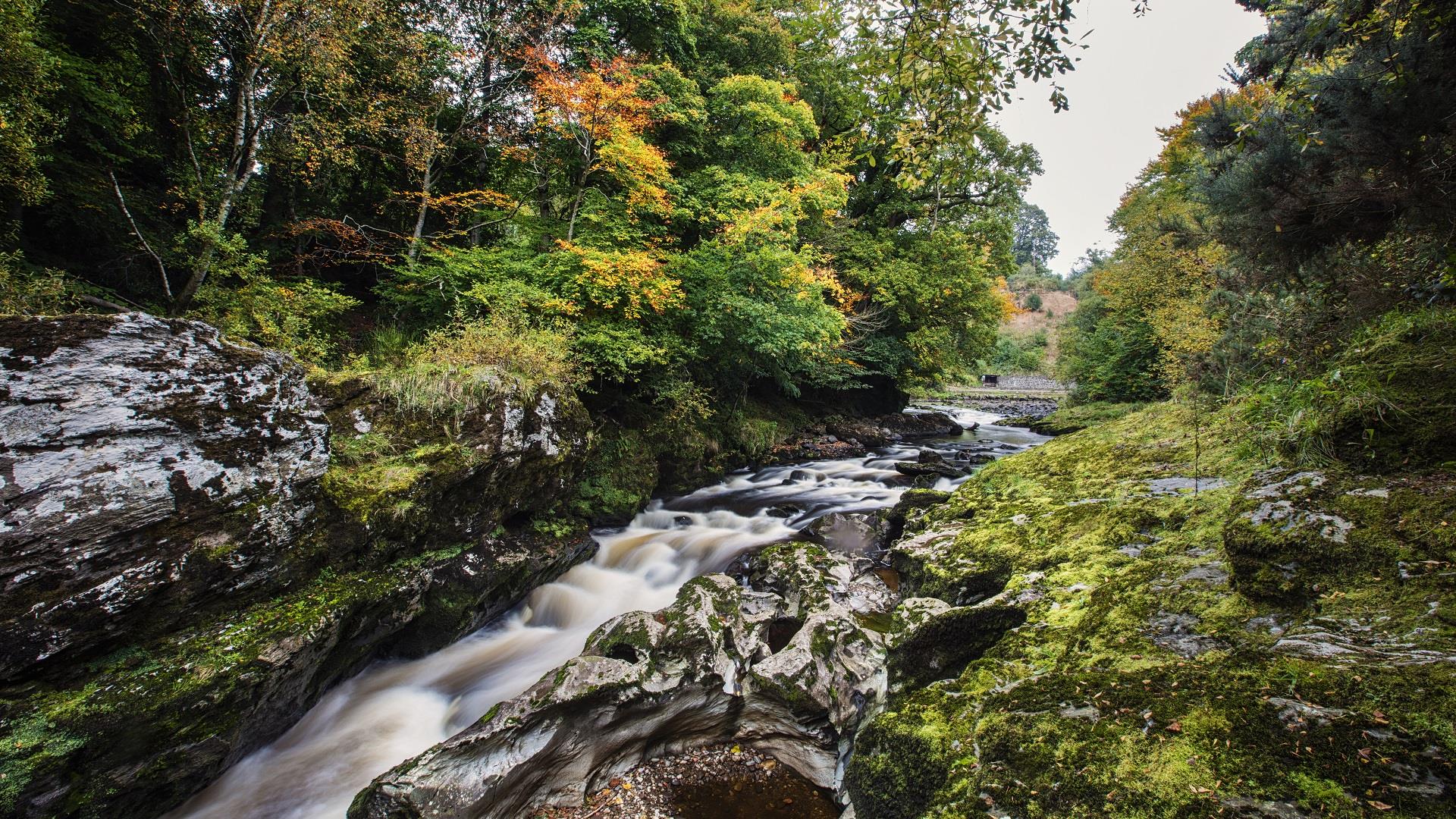 Roe Valley Country Park - Walking Trail - Limavady - Causeway Coast & Glens