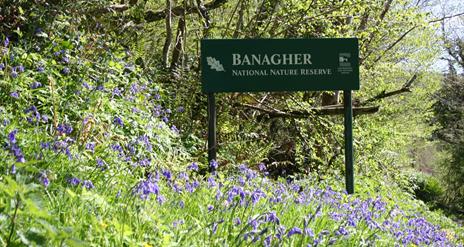 Walks & Trails | Walking & Hiking | Visit Causeway Coast & Glens