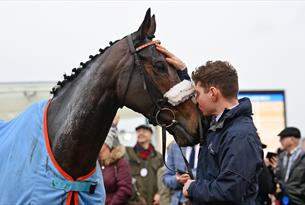 Cheltenham 2023 Festivals & Major Events Guide