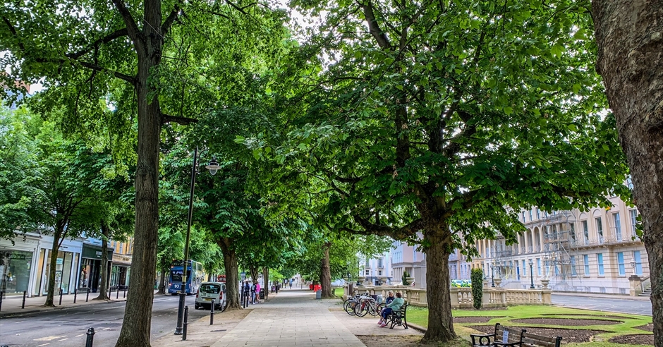 The Promenade and Long Gardens - Things to do in Cheltenham