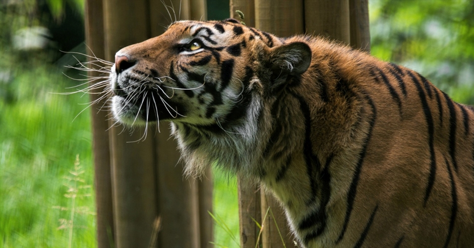 Colwyn Bay - Visit Conwy