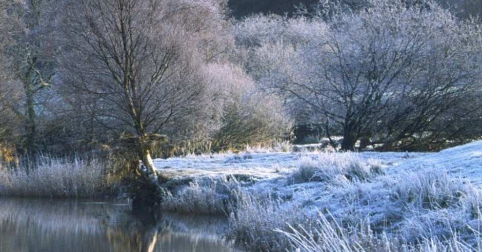 Woodland walks, frosty mornings and more: how to make the most of Conwy ...