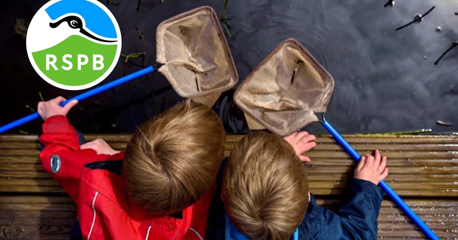 Bug Safari at RSPB Conwy - Visit Conwy