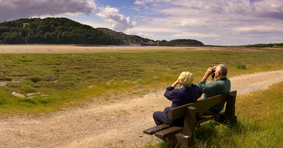 Conwy RSPB Nature Reserve - Visit Conwy