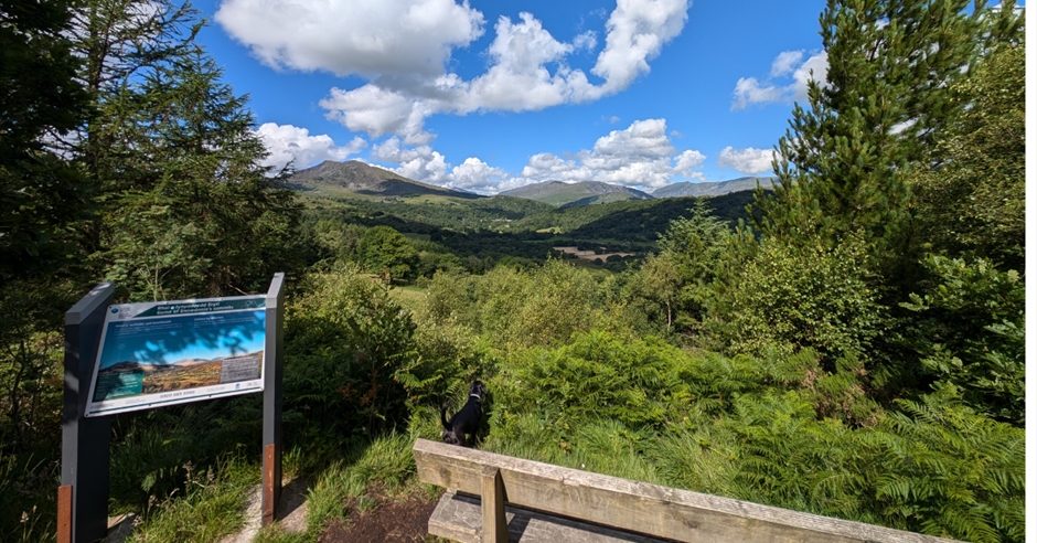 Craig Forris Walk - Visit Conwy