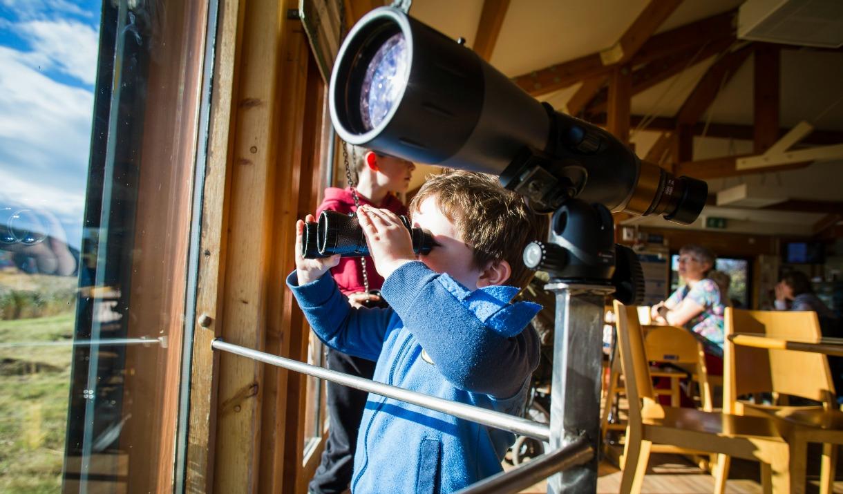 Conwy RSPB Nature Reserve - Visit Conwy
