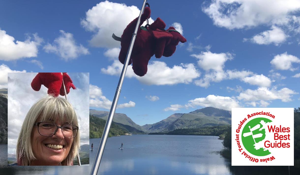 Official Blue Badge Tourist Guide - Visit Conwy