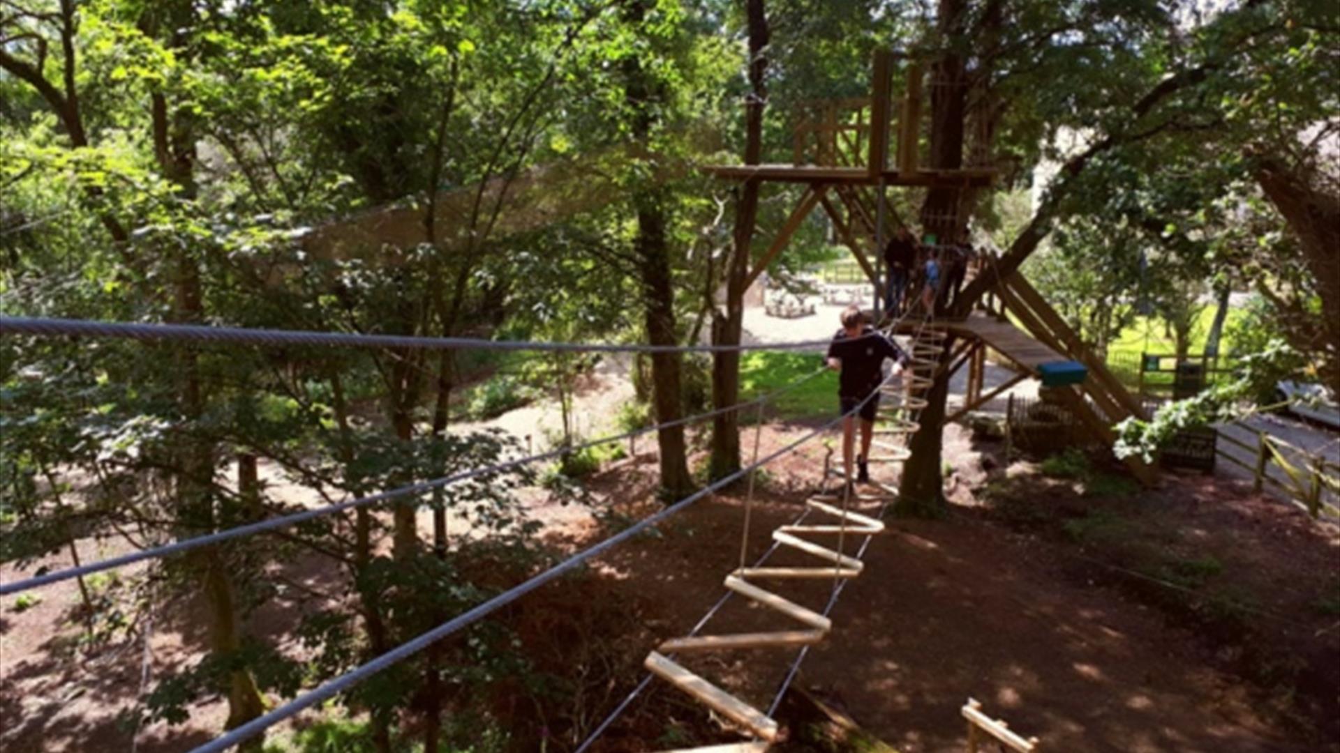 Tree trekking at Oakfire - Visit Derry