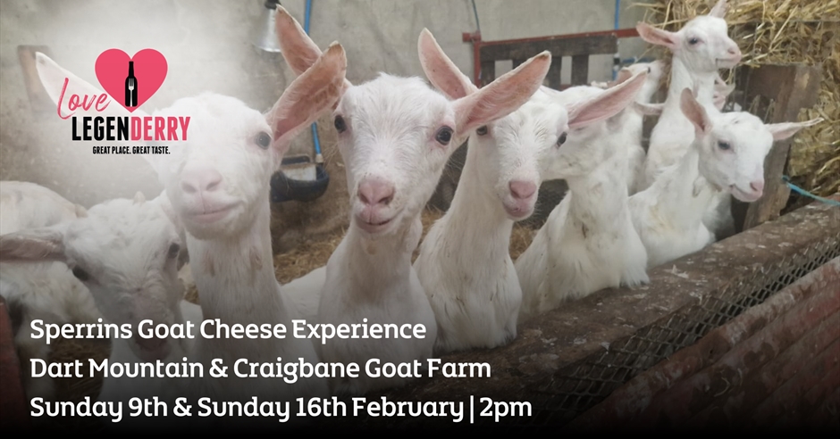 Sperrins Goat Cheese Experience with Dart Mountain & Craigbane Goat ...