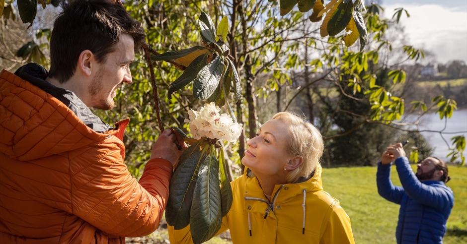 Brook Hall Estate & Gardens - Guided Tour in Derry~Londonderry ...