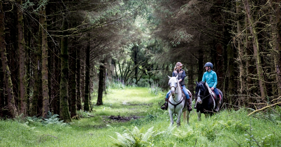 City of Derry Farm & Equestrian Centre - Nature in Derry~Londonderry ...
