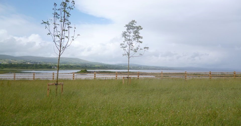 Culmore Country Park - Nature and Wildlife in Derry~Londonderry ...