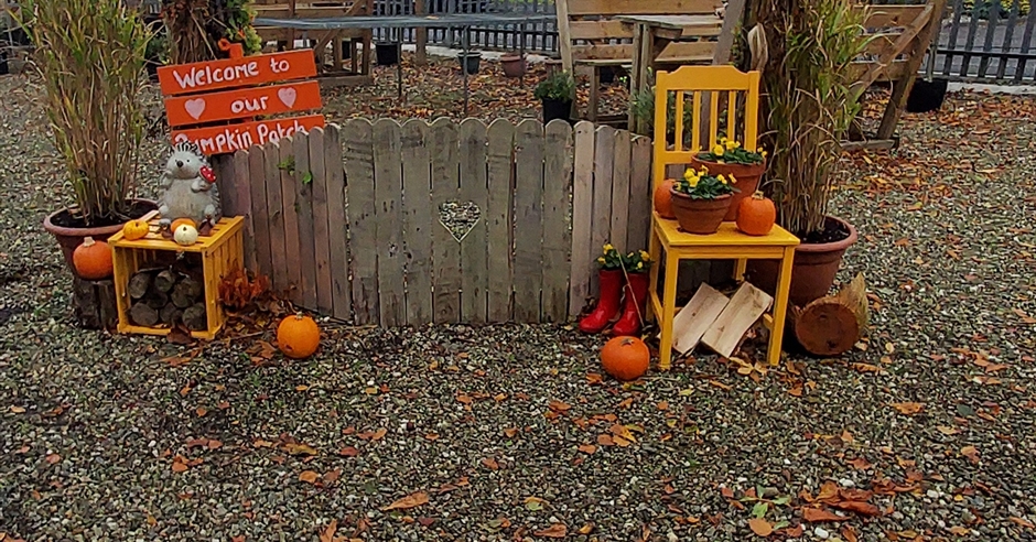 New Horizons Pumpkin Patch Photoshoot & Scarecrow Trail - Strabane ...