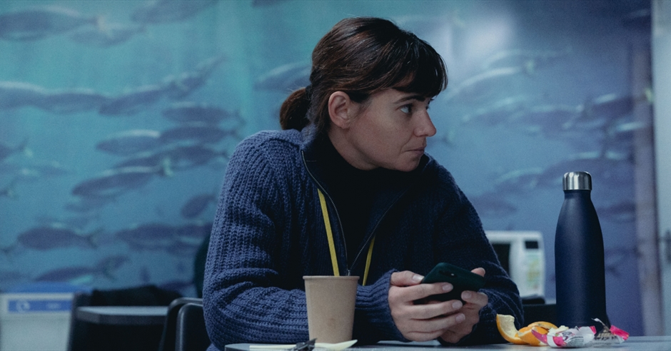 On Falling | Reel Lives - Derry - Visit Derry