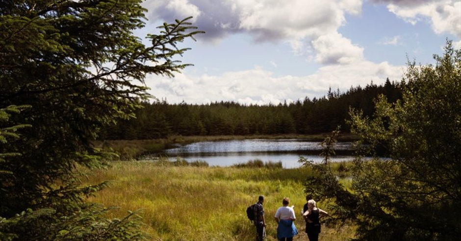 Sperrins and Killeter Walking Festival: (Moderate) Song of the Salmon ...