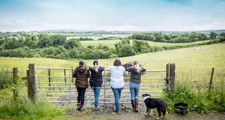 Family Break In Derry~Londonderry