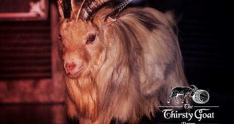 Bars & Pubs in Derry~Londonderry