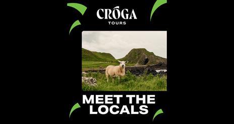 Transport Services in Derry~Londonderry