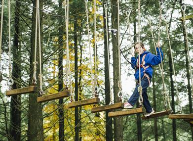 The Jungle NI - Activity Centre in Moneymore, Moneymore - Visit Derry