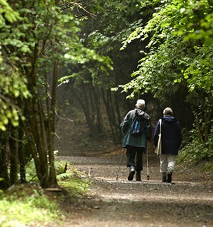 Activities in Devon: the Official Devon Guide | Visit Devon