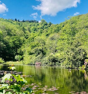 Walking & Hiking in Devon - Visit Devon