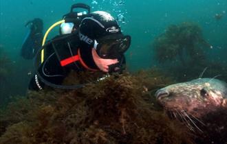 Devon watersports: the Official Devon Guide | Visit Devon