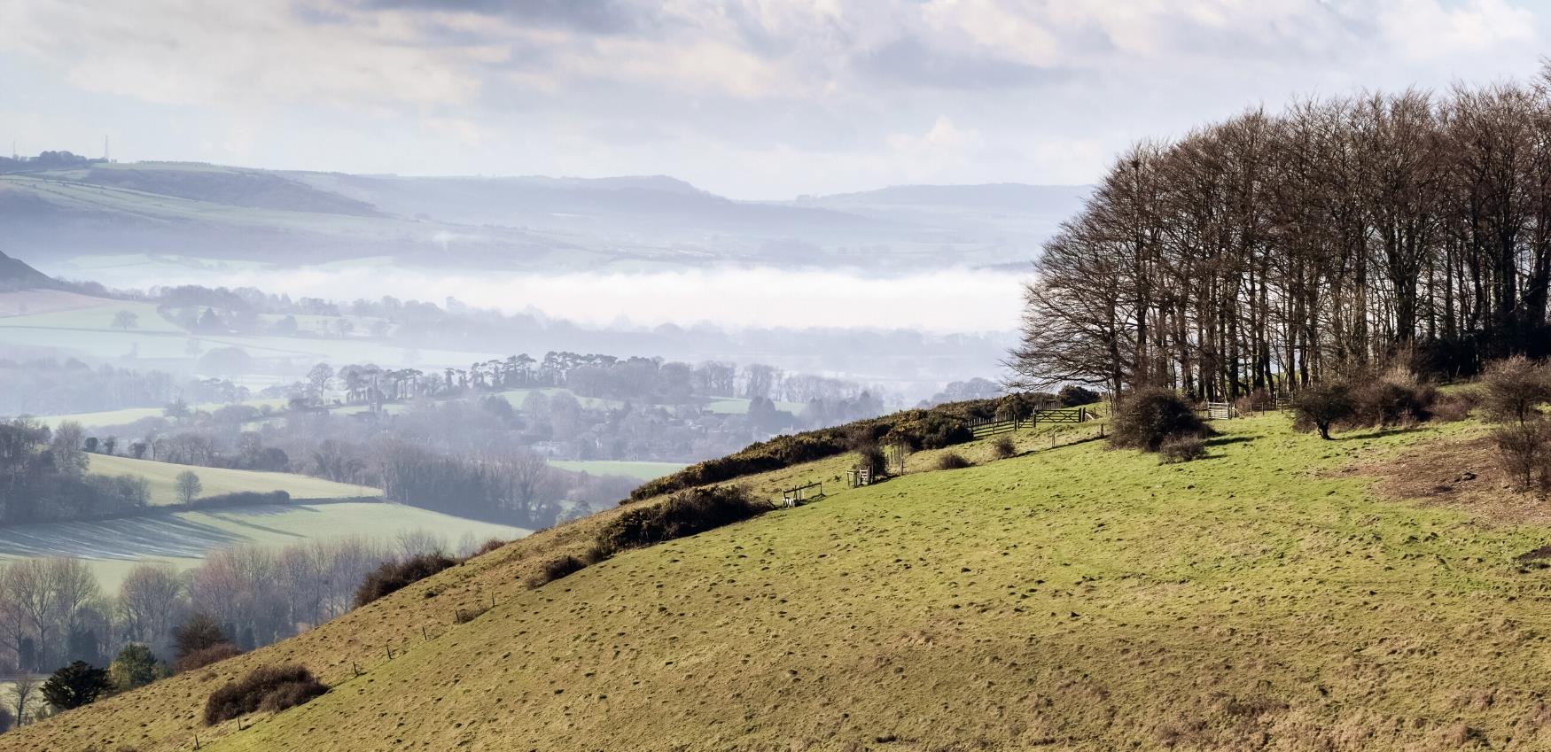 Cranborne Visitor Information - Visit Dorset