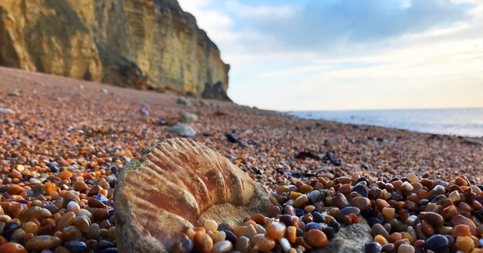 Jurassic Coast Dorset - UNESCO Natural World Heritage Site