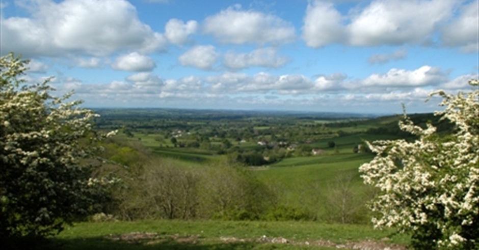 Chickerell - Explore & Discover Dorset