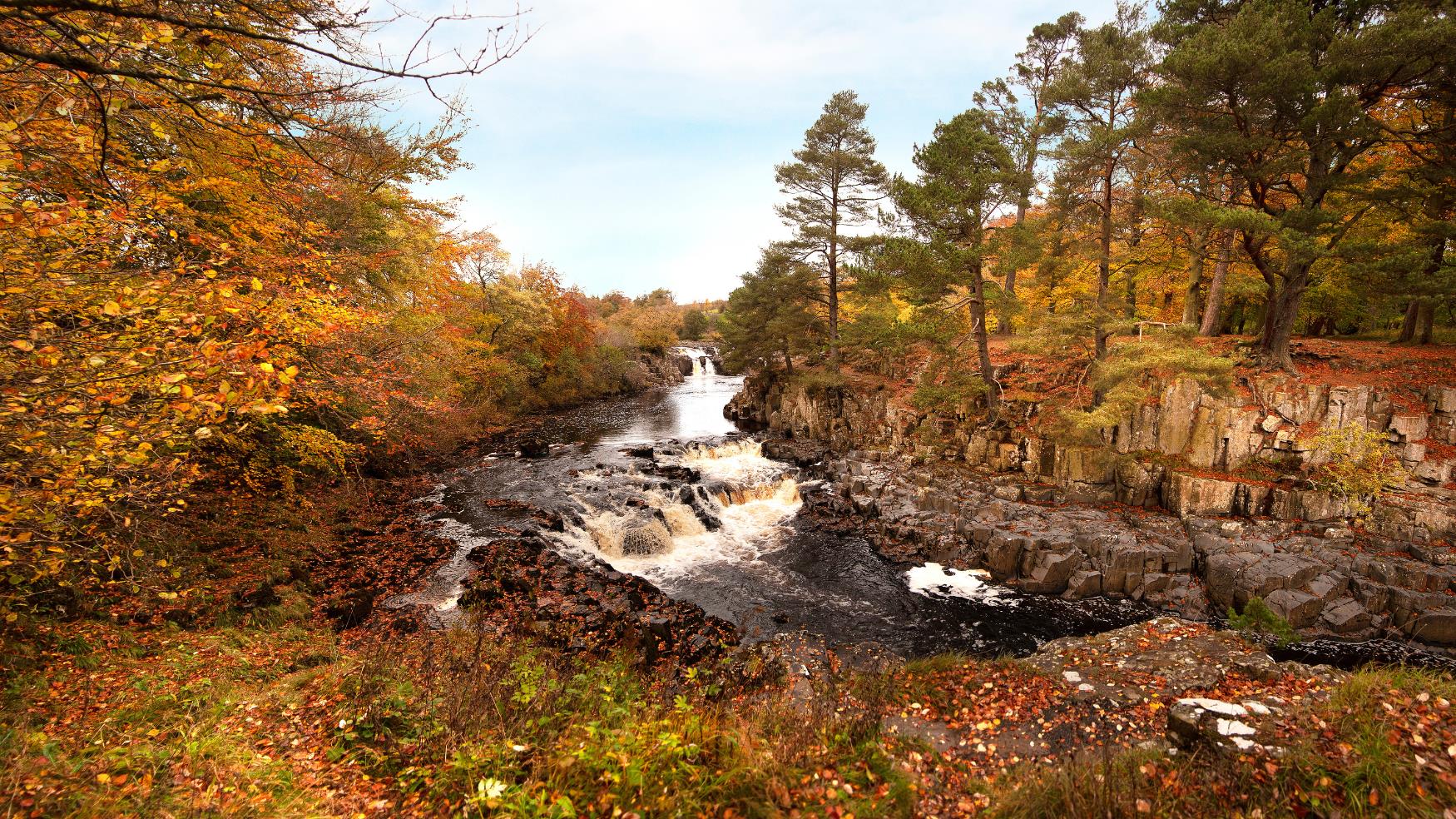 Autumn Colours - This is Durham