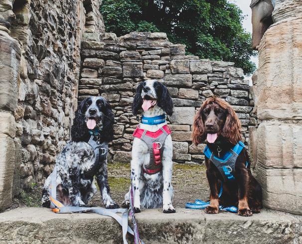 Freeman's Quay Leisure Centre - This is Durham