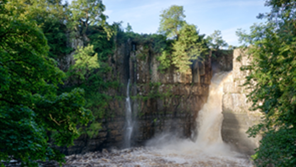 Nature & Wildlife - This is Durham