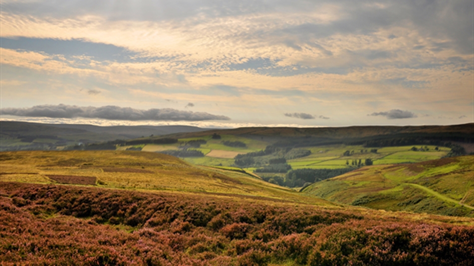 North Pennines National Landscape and UNESCO Global Geopark - This is ...