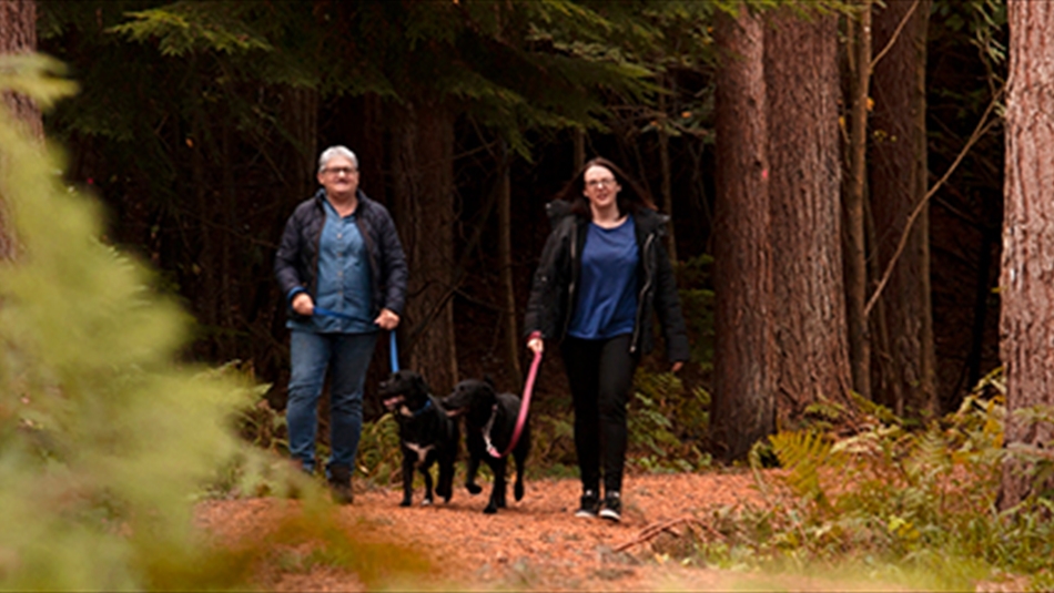 Walking in Durham | Your next walking holiday awaits