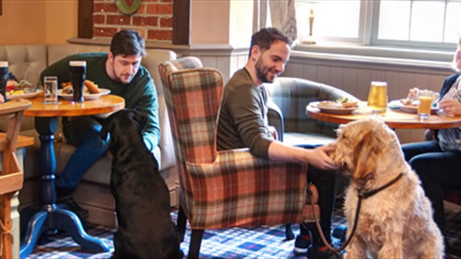 Dog Friendly Places to Eat & Drink - This is Durham