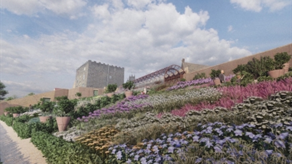 The Auckland Project unveils its redeveloped gardens and celebrates ...