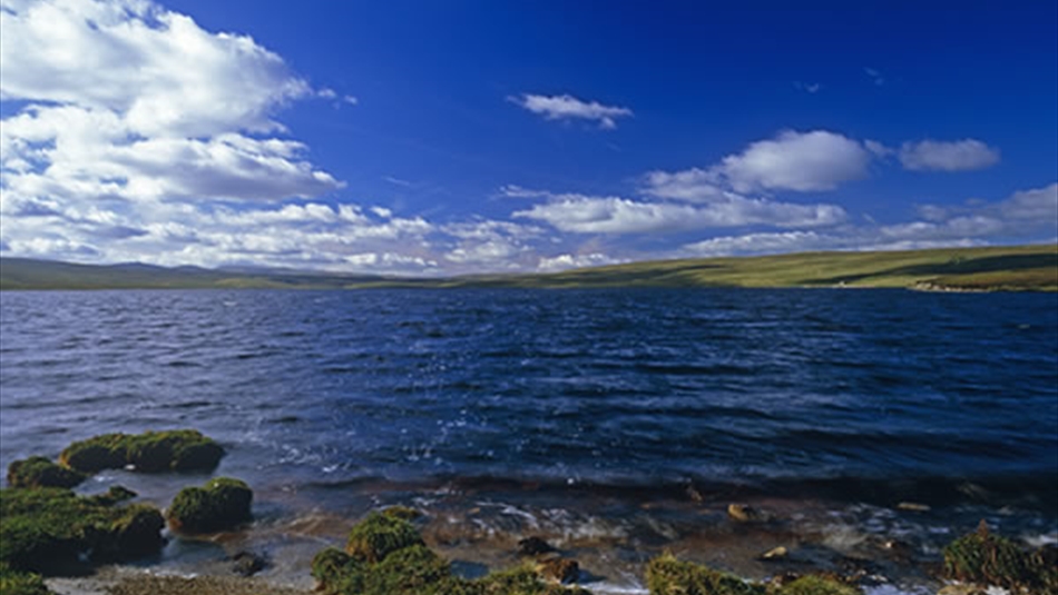 Coast & Countryside - This is Durham