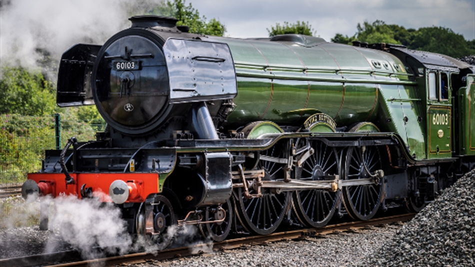 Summer Fun at Locomotion - This is Durham