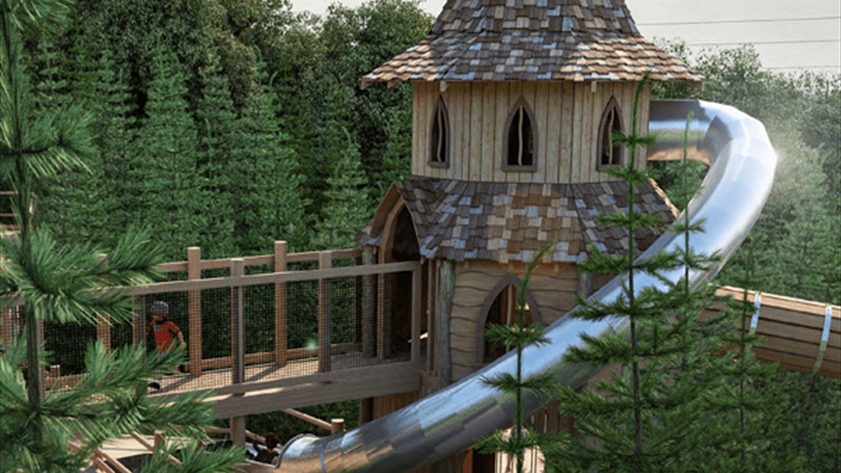 Discover The Plotter's Forest at Raby Castle - This is Durham